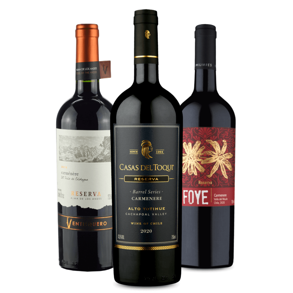 Kit Vinhos Carménère: Ventisquero, Casas del Toqui, Foye — Casa Vinhos